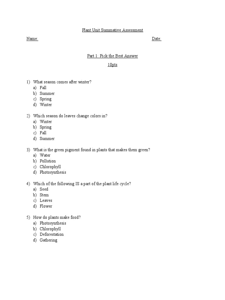 Plant Growth Assessment Worksheet | PDF | Plants | Seed