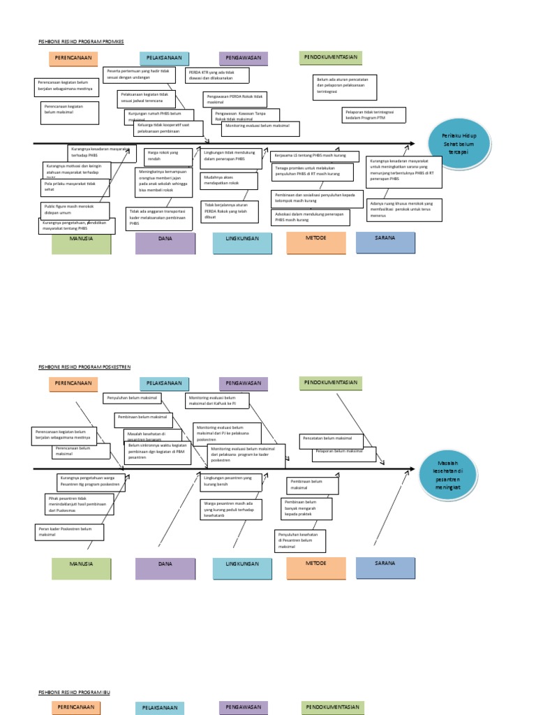 Fishbone Resiko Program | PDF