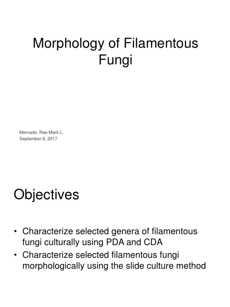 Morphology of Filamentous Fungi | PDF | Mold | Fungus
