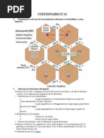 Condrogénesis y Crecimiento Del Cartílago | PDF