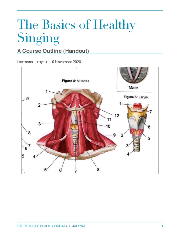 THE BASICS OF HEALTHY SINGING - Outline 2020 11-19 | PDF | Singing ...