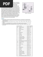 Quick Union Chart PDF | PDF | Nature