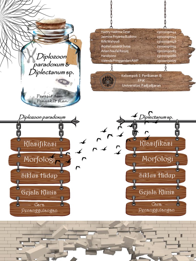 Kelompok 1 - Perikanan B - Diplozoon Paradoxum Dan Diplectanum Sp. | PDF