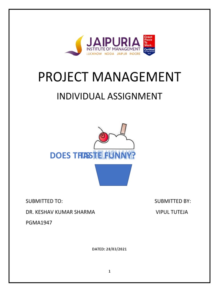 Project Management: Individual Assignment | PDF | Business