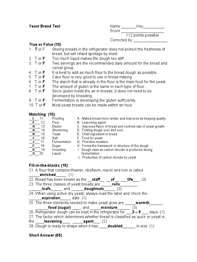 Yeast Bread Test KEY | PDF | Breads | Dough