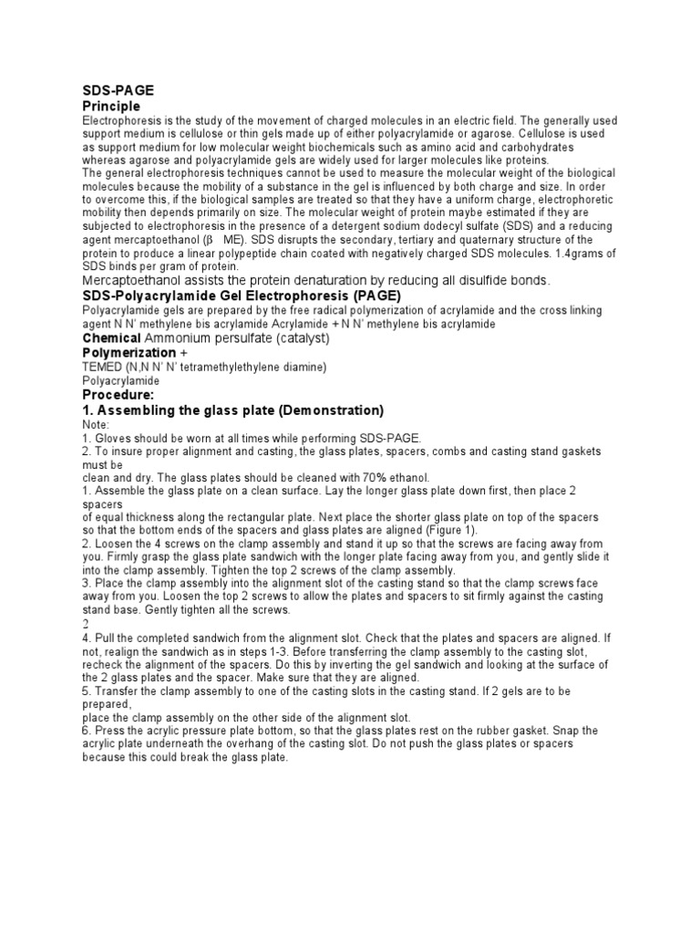 SDS-PAGE Principle | PDF | Polyacrylamide Gel Electrophoresis | Gel ...