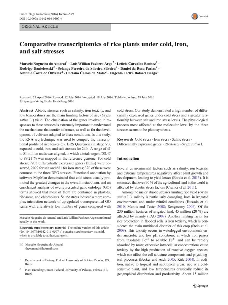 Comparative Transcriptomics of Rice Plants Under Cold, Iron, and Salt ...
