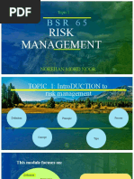 Management of Risk 1st Edition 120325 | PDF | Risk | Risk Management