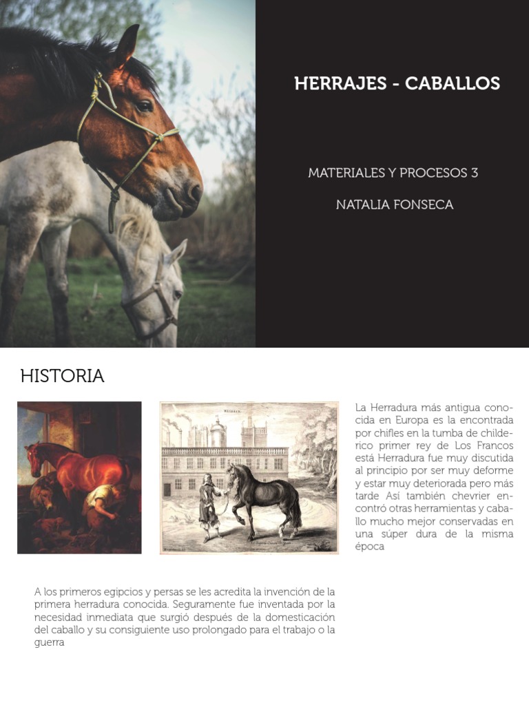 Materiales - Herrajes - Caballos | PDF | Forjar | Espada