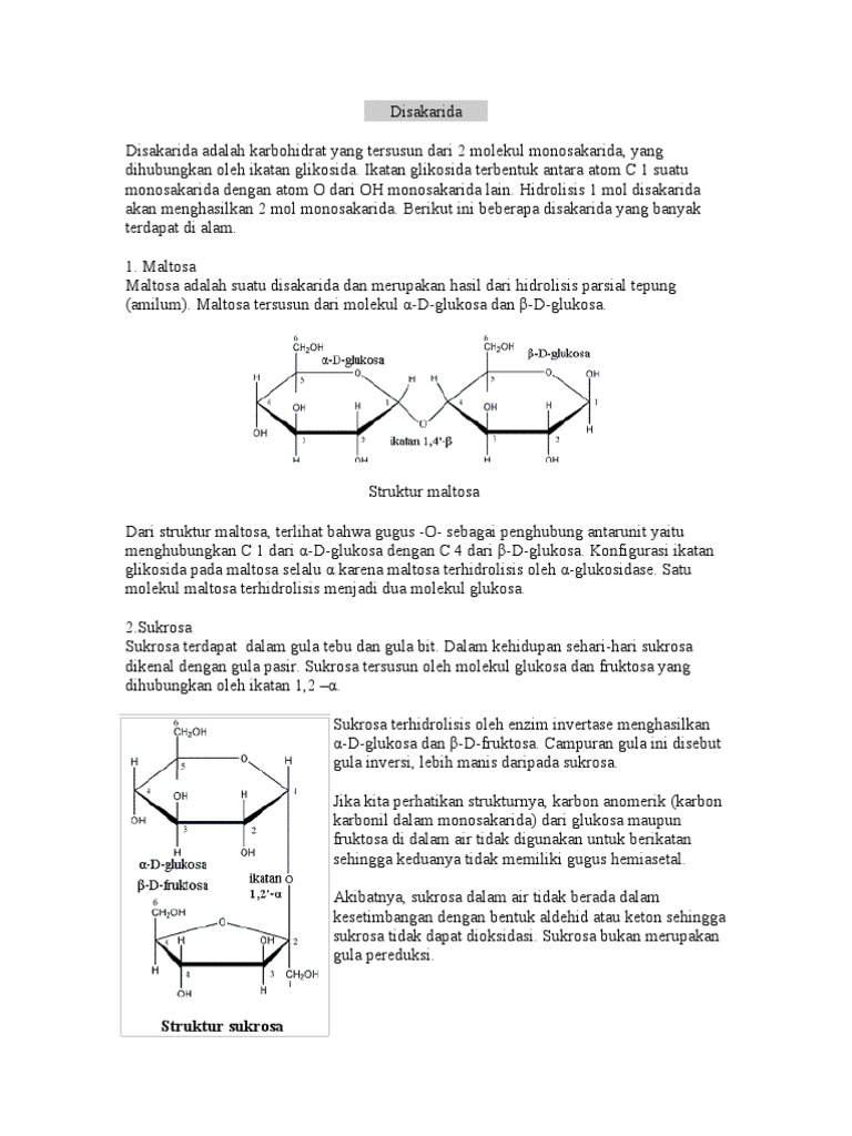Struktur dan Hidrolisis Disakarida | PDF | Memasak, Makanan, & Anggur