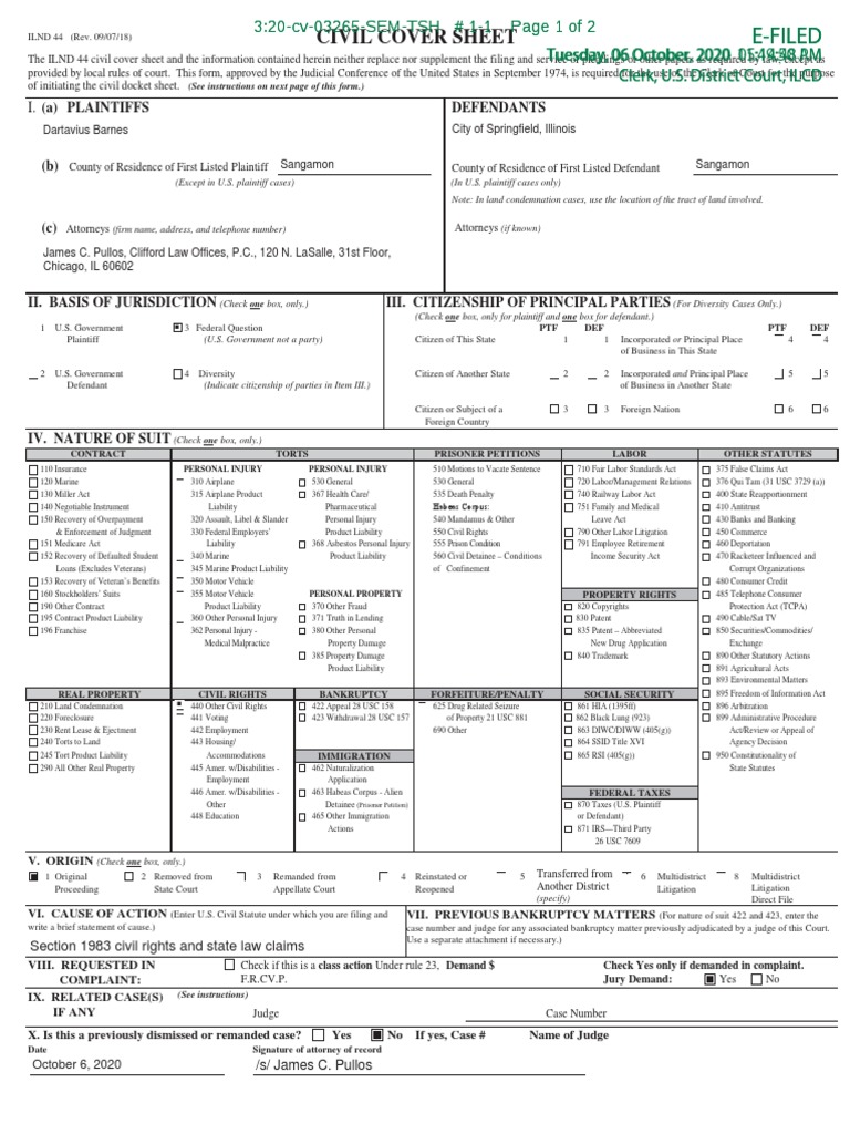 Civil Cover Sheet: E-Filed | PDF | Diversity Jurisdiction | Lawsuit