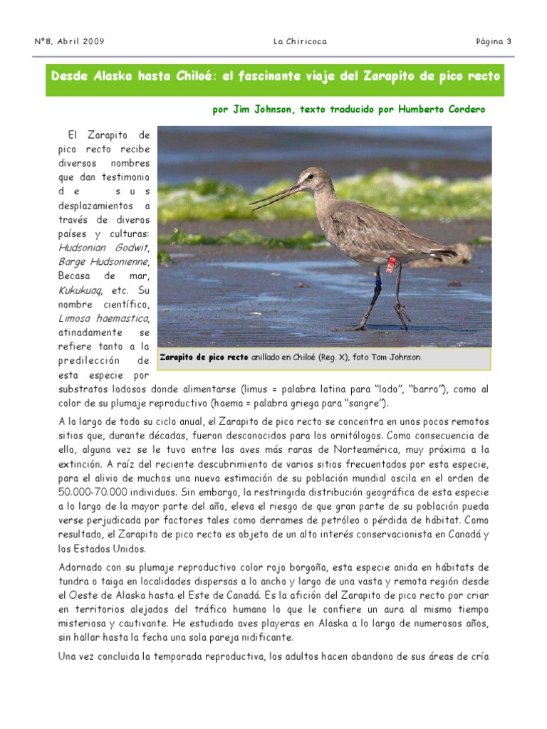 La-Chiricoca-8 Part2 C | PDF | Migración de aves | Aves