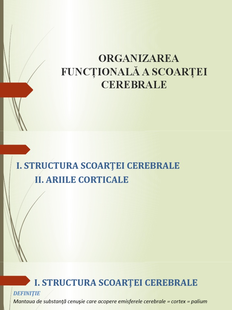 Scoarta Cerebrala | PDF