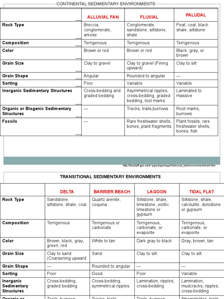 Alluvial and Paludal Sedimentary Types | PDF | Sedimentary Rock | Limestone