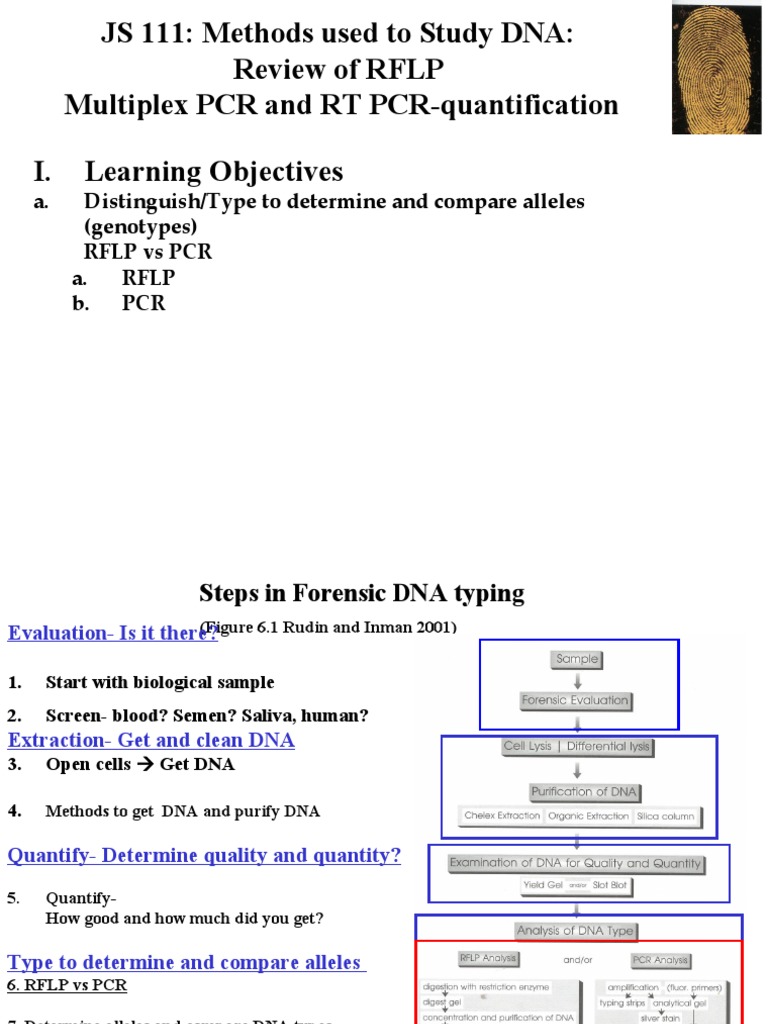 A. Distinguish/Type To Determine and Compare Alleles (Genotypes) RFLP ...