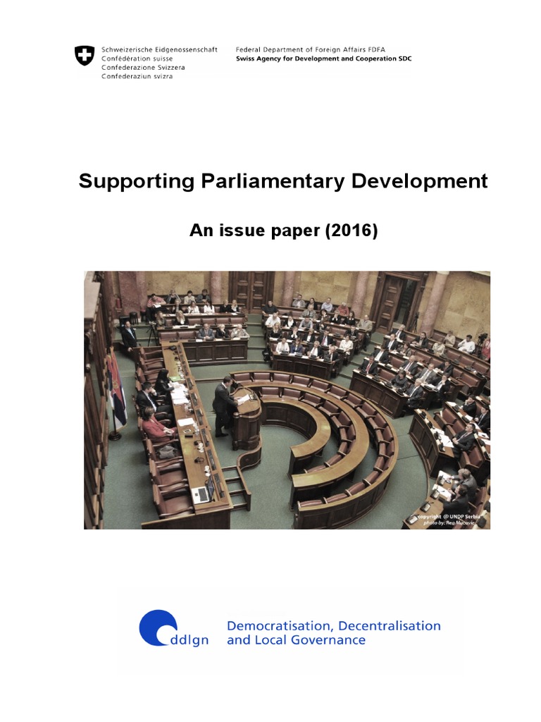 Issue Paper Parliament Support - FINAL | PDF | Governance | Parliament