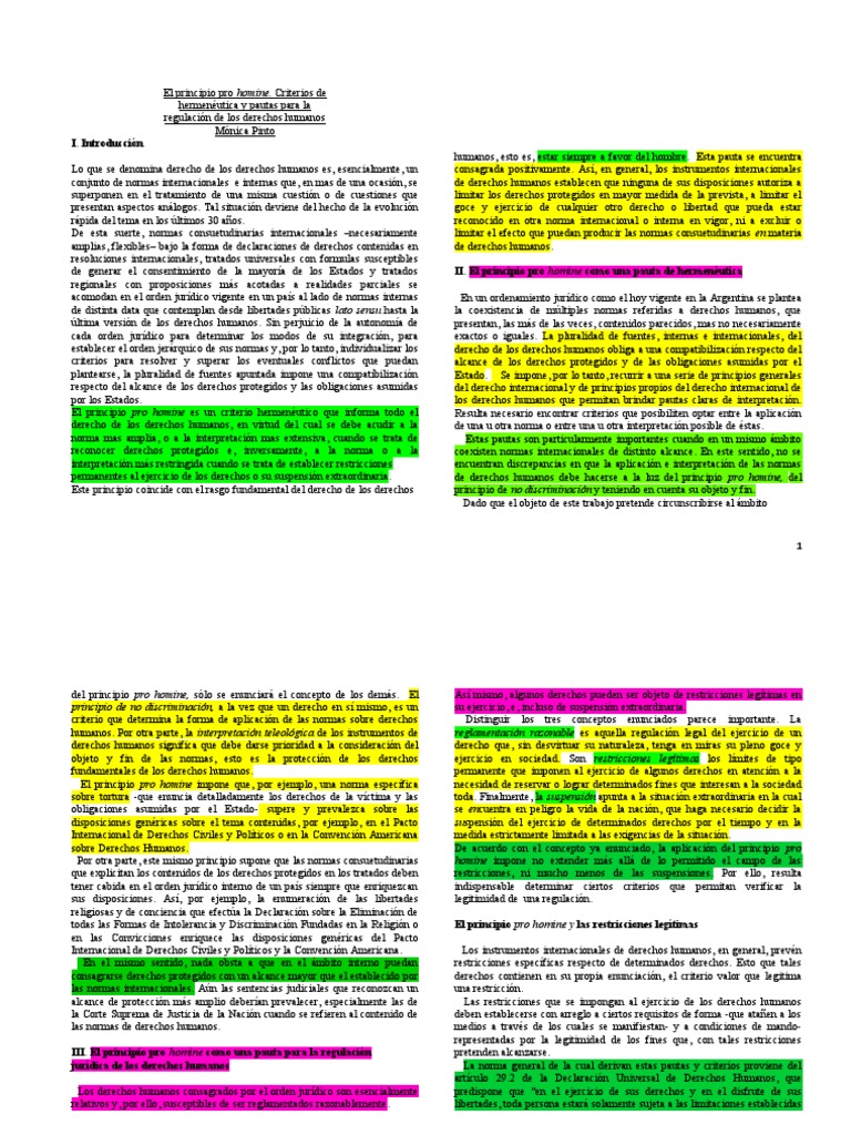 El Principio Pro Homine - Mónica Pinto | PDF | Derechos humanos ...