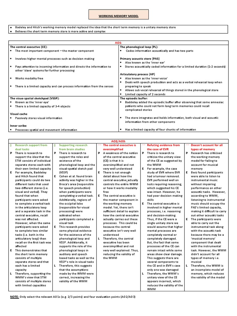 Working Memory Model | PDF | Neuropsychological Assessment | Memory Processes