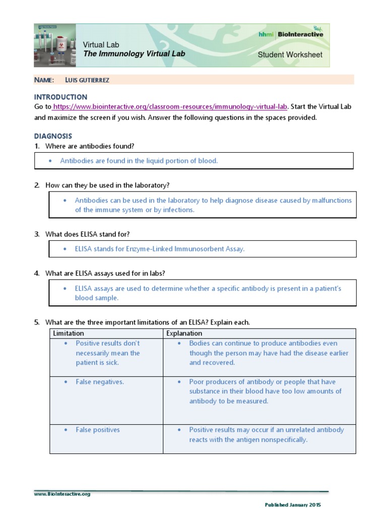 Immunology Virtual Lab Worksheet Insights | PDF | Elisa | Biology