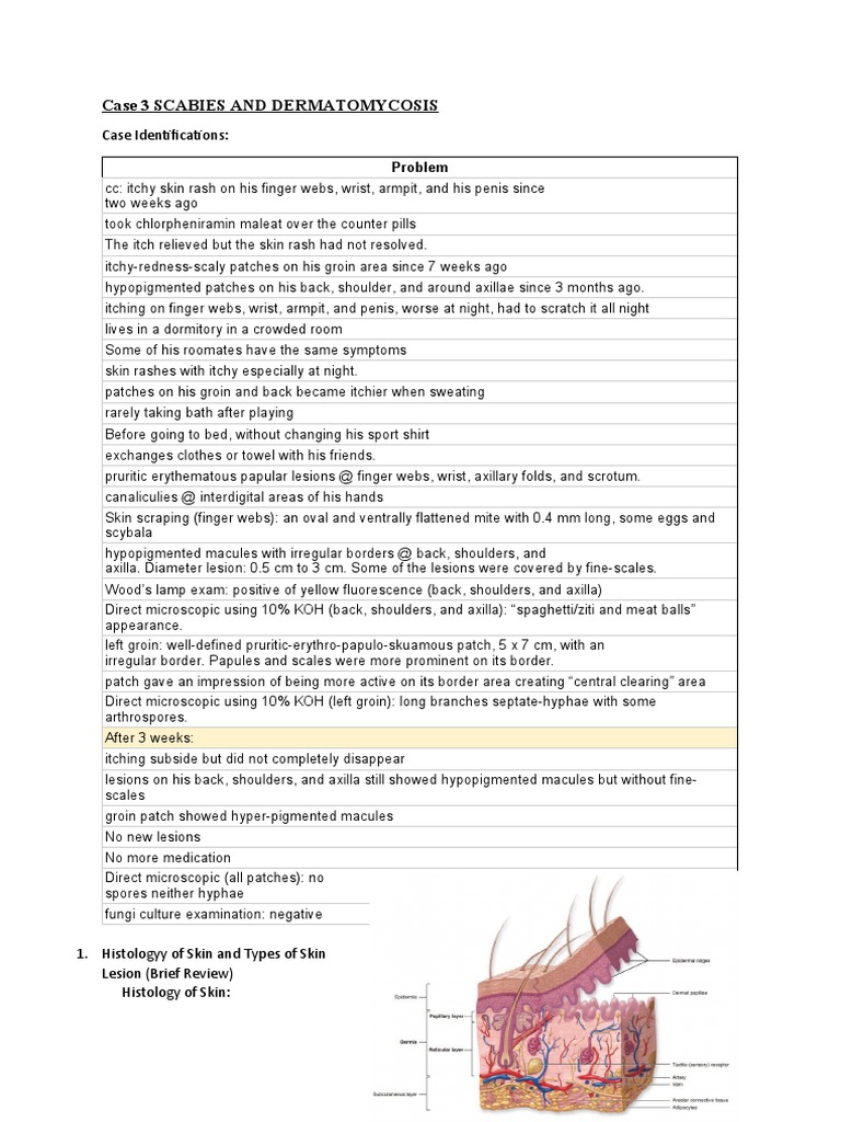 Scabies and Dermatomycosis Overview | PDF | Epidermis | Skin