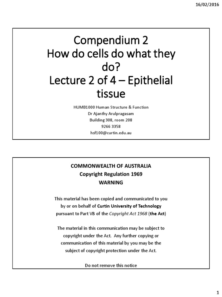 Epithelial Tissue | PDF | Epithelium | Tissue (Biology)