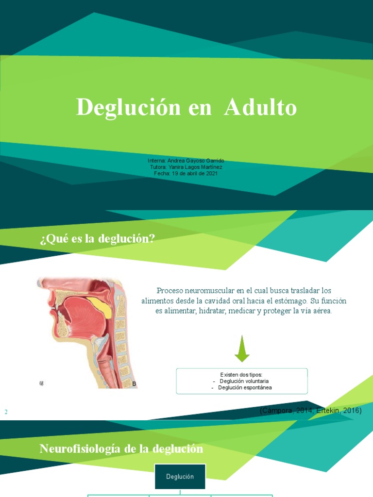 Deglución en Adultos: Evaluación y Alteraciones | PDF | Esófago ...