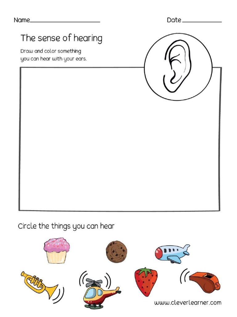 The Sense of Hearing Worksheet Preschool | PDF