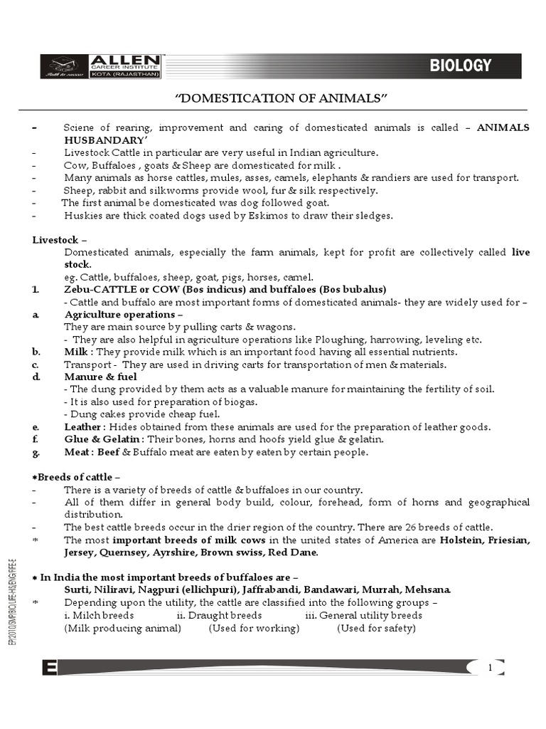 Domestication of Animals | PDF | Honey Bee | Cattle