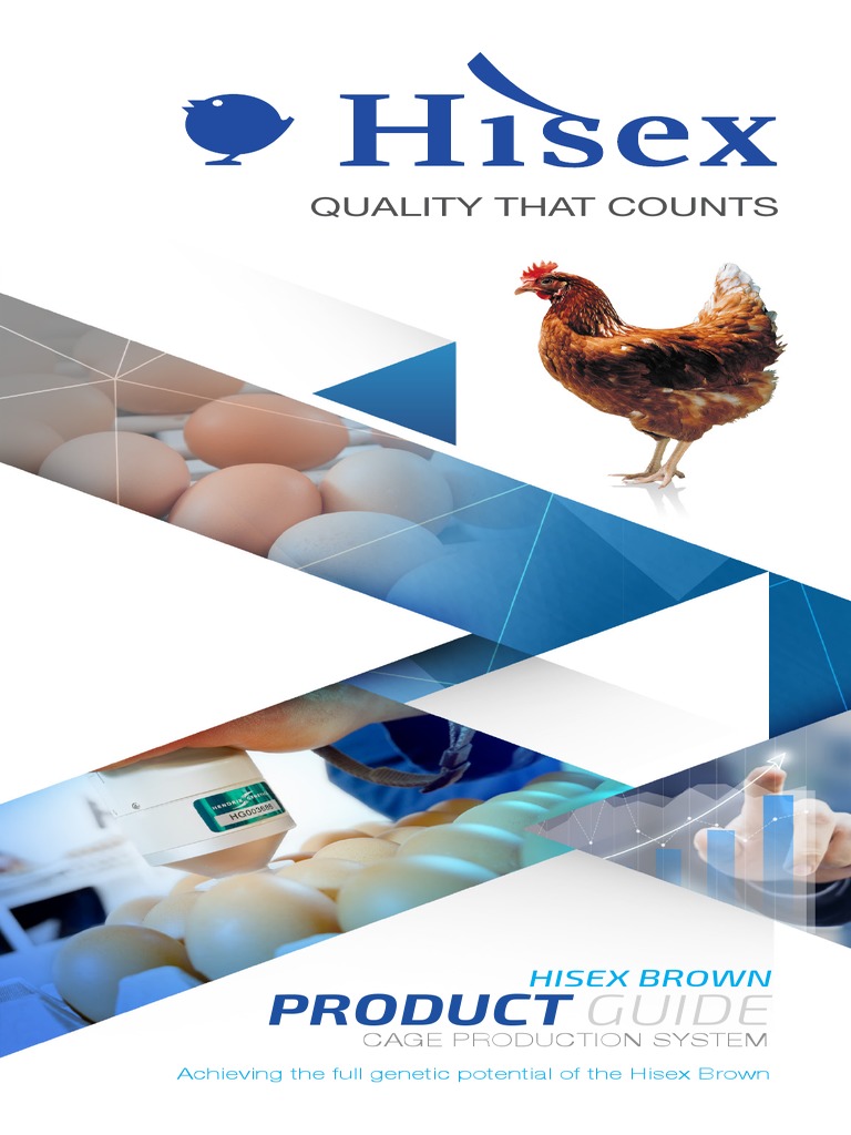 Hisex Brown Layer Management Guide | PDF | Selective Breeding | Chicken