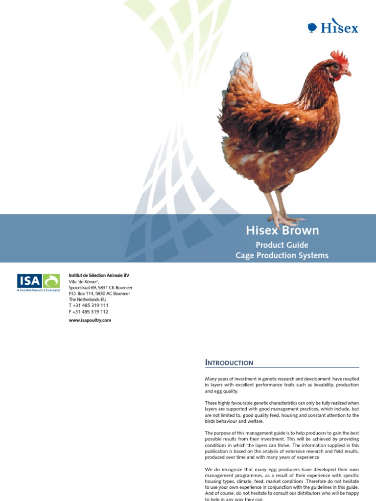Hisex Brown Product Guide Cage Production Systems Vs1408a | PDF | Birds ...