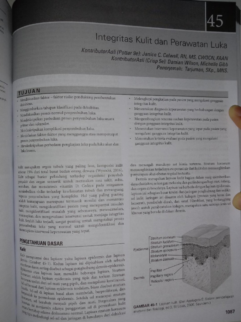LP Integritas Kulit Dan Perawatan Luka | PDF
