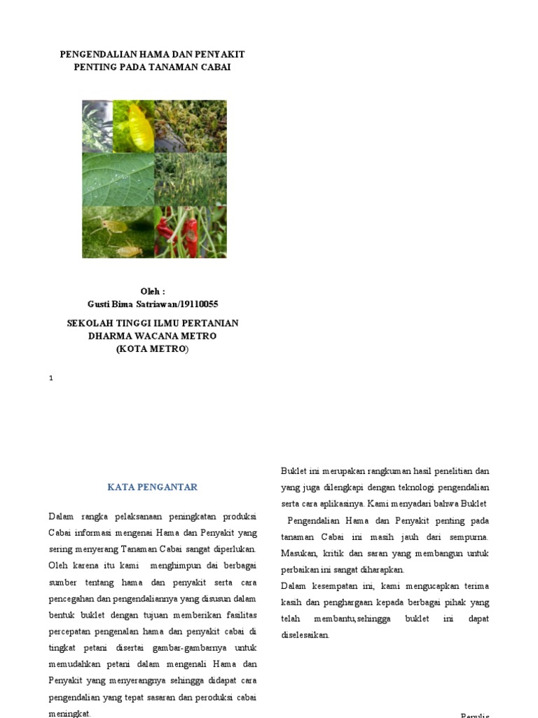Pengendalian Hama Dan Penyakit Pada Tanaman Cabai | PDF | Griya & Taman | Teknologi & Rekayasa