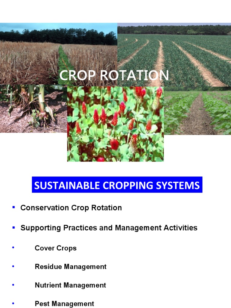 24 Crop Rotation Principles Types | PDF | Crop Rotation | Agriculture