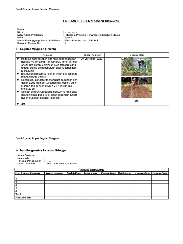 Template Progres Kegiatan Mingguan TPTH Utama | PDF