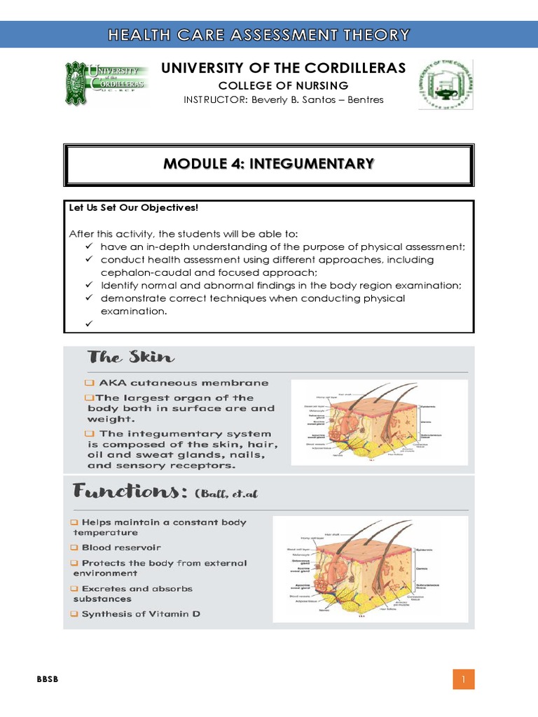 Module 4 - Integumentary | PDF