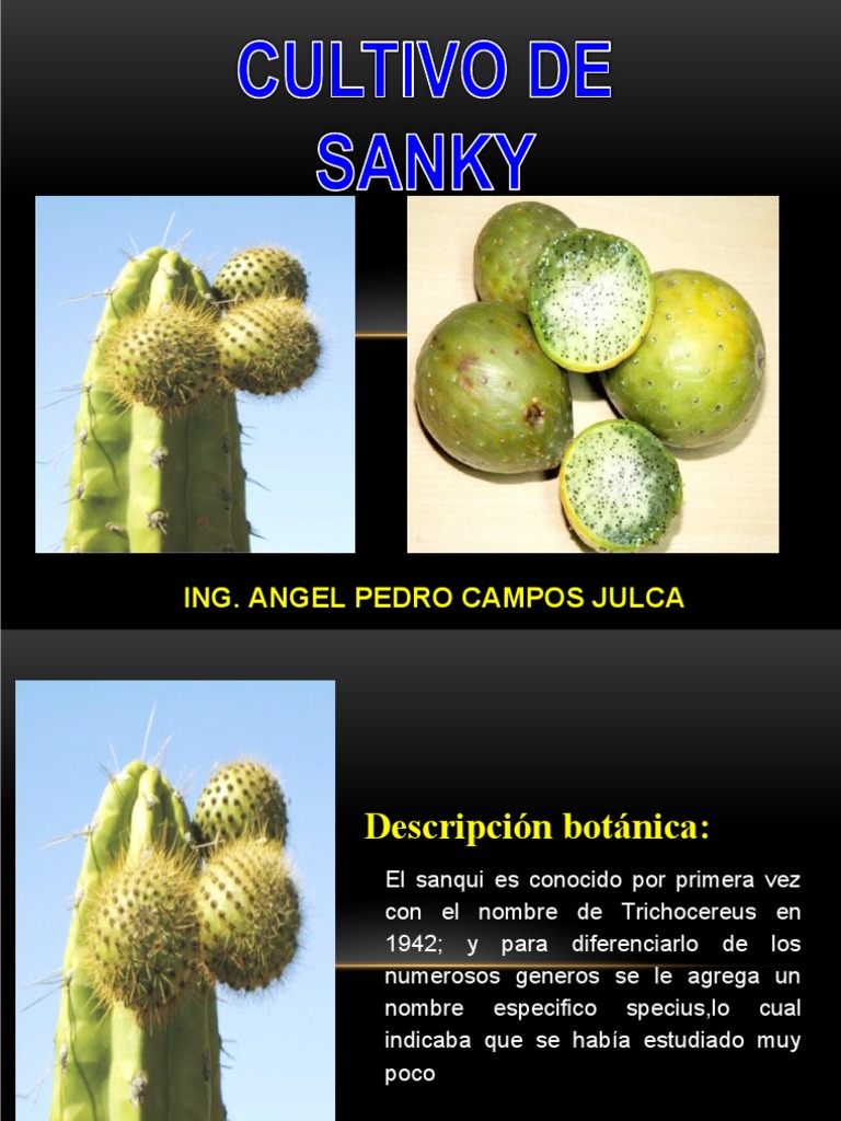 5-Clase Cultivo de Sanky | PDF | Champú | Tallo de la planta