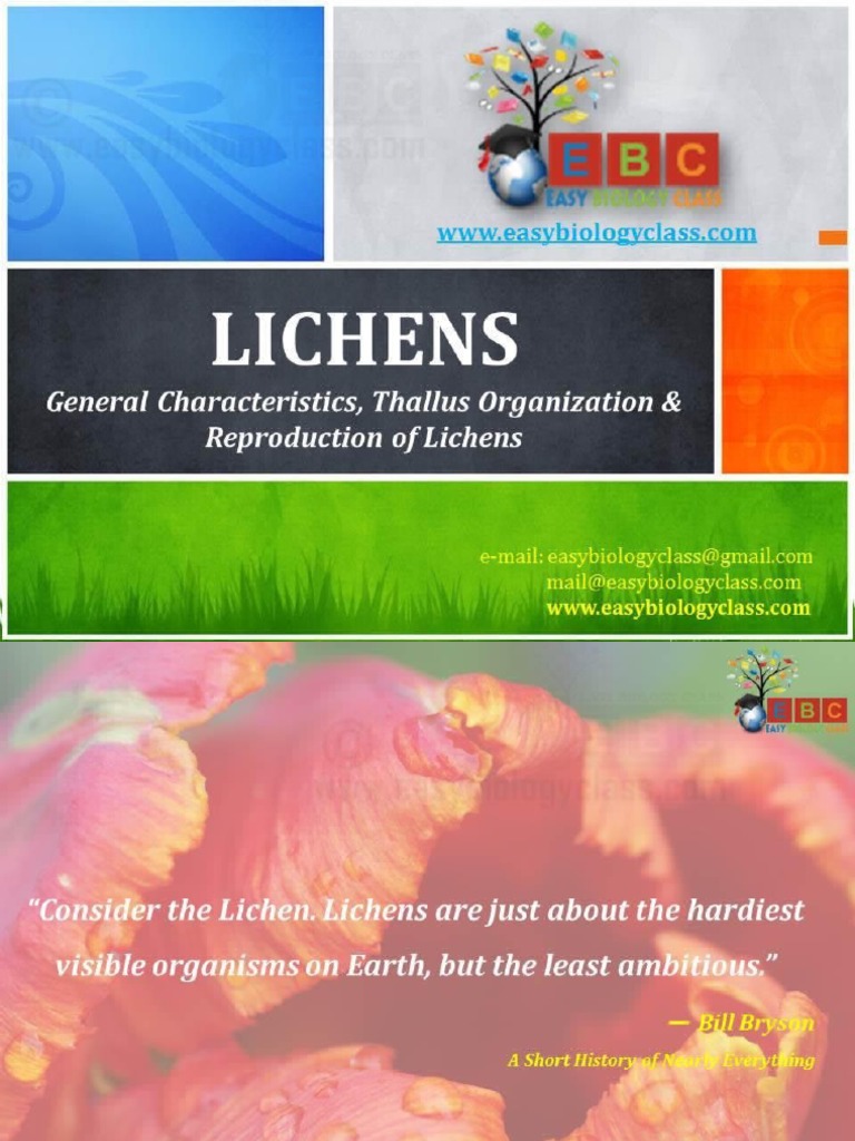 Lichens General Characteristics PPT by Easybiologyclass | PDF
