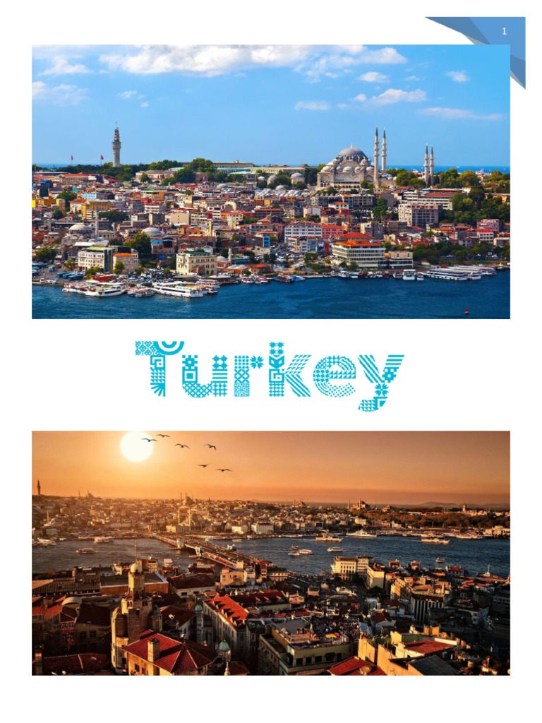 INB372 - Turkey Magazine | PDF | Foreign Direct Investment | Turkey