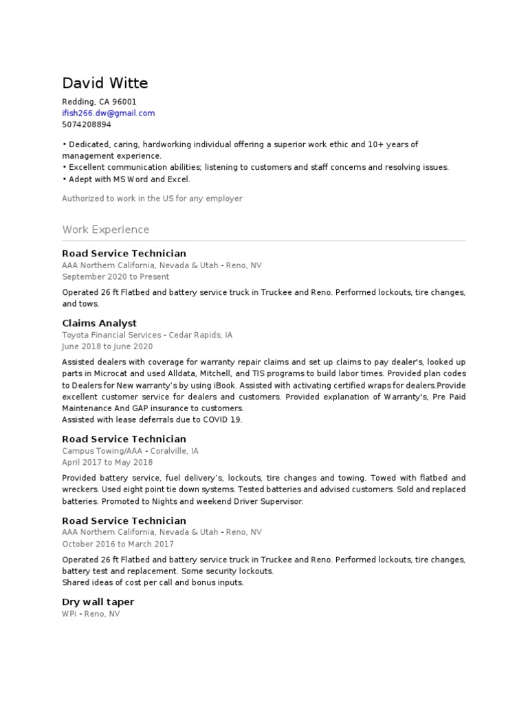 David Witte: Work Experience | PDF