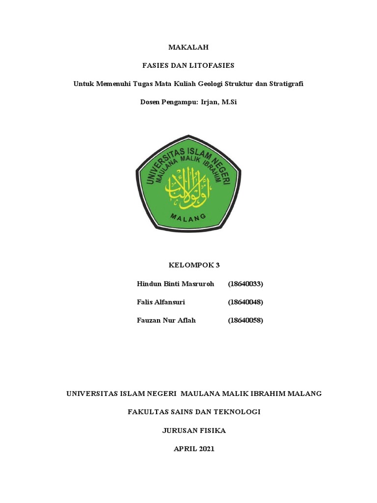 Fasies Litofasies | PDF