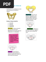 Tipos de Pelve e Suas Características | PDF
