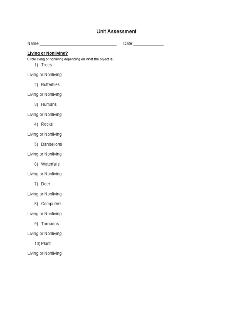 Unit Assessment | PDF