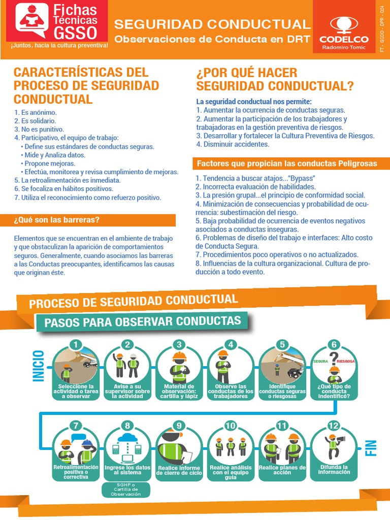 DPR024 Seguridad Conductual | PDF | Comportamiento | Business