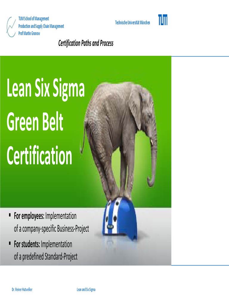 TUM Lean Six Sigma Green Belt Guide | PDF | Six Sigma | Business