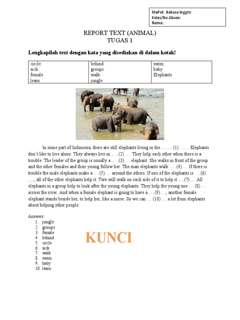 REPORT TEXT (Animal) Tugas 1 Kunci | PDF
