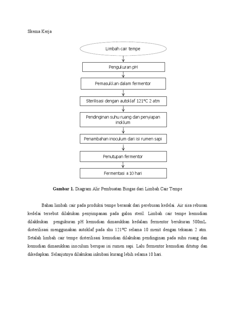 Limbah Cair Industri Tempe | PDF