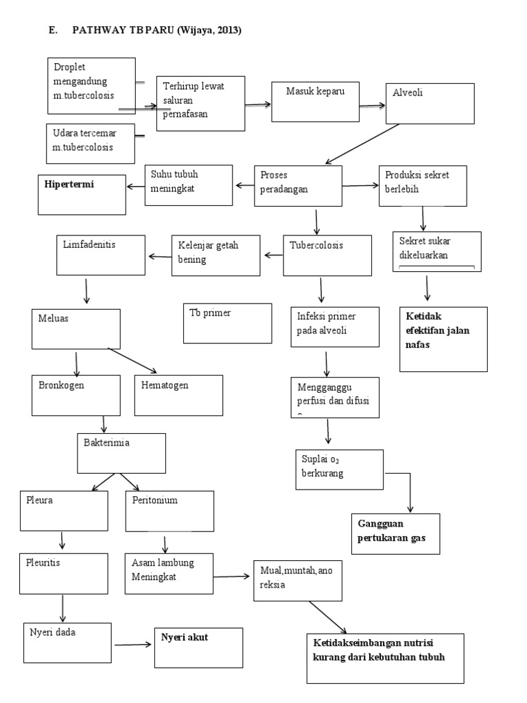 Pathway Tuberkulosis Paru 2023 | PDF
