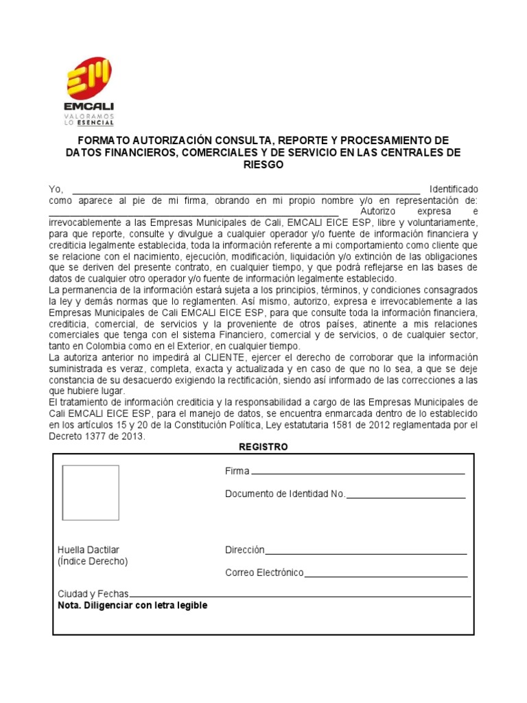 Formato Autorización Consulta | PDF | Gobierno | Justicia