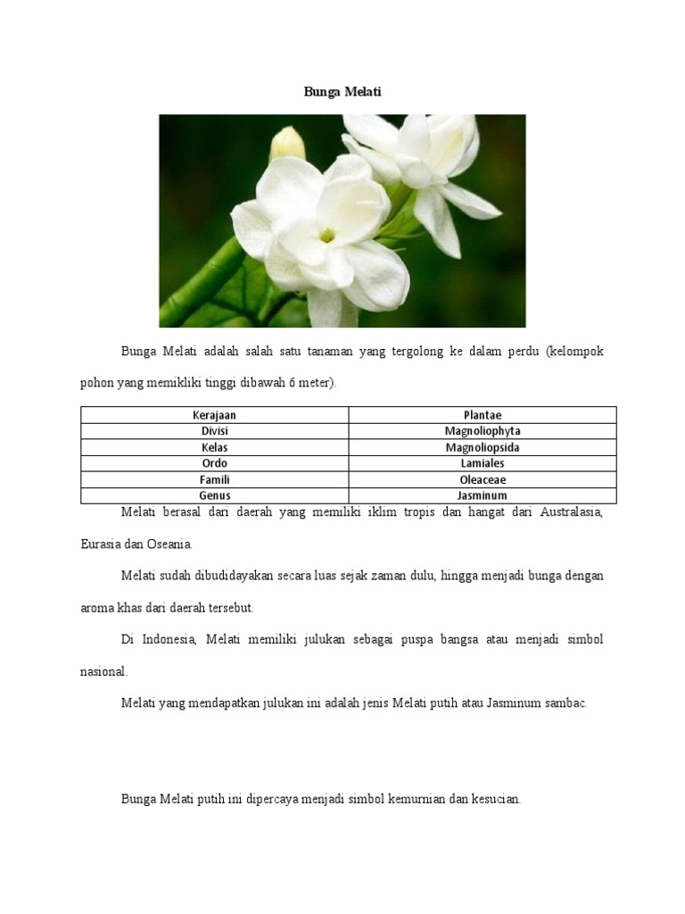 Bungan Melati | PDF