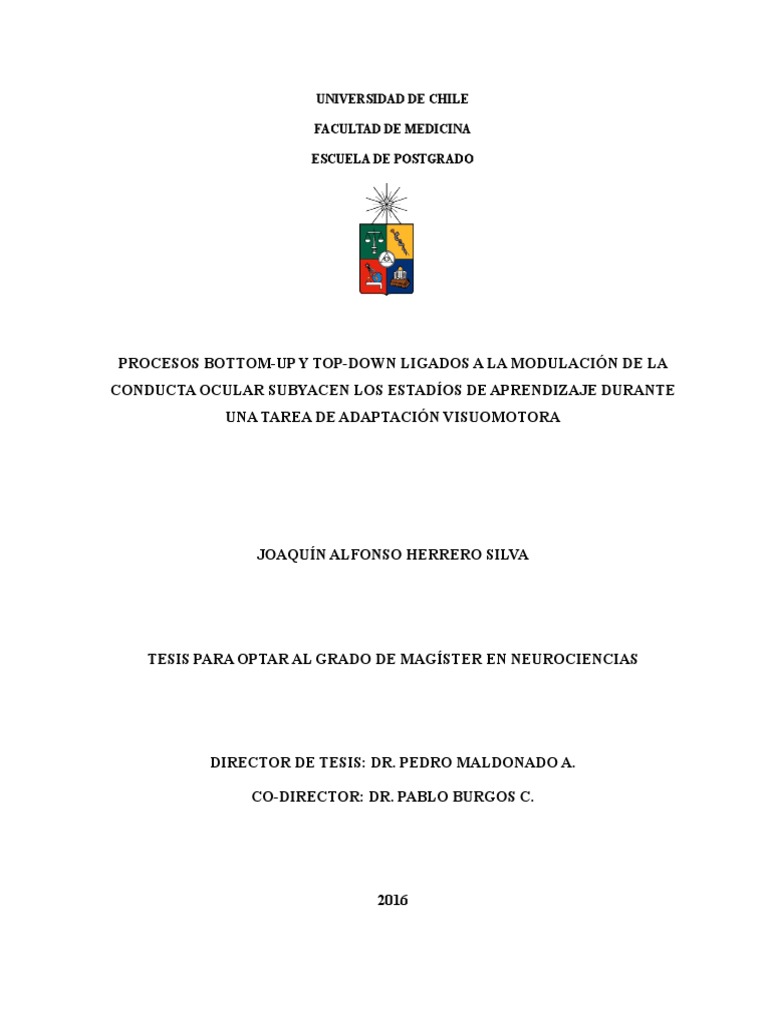 Procesos Bottom-Up y Top-Down L | PDF | Diseño de arriba hacia abajo y ...